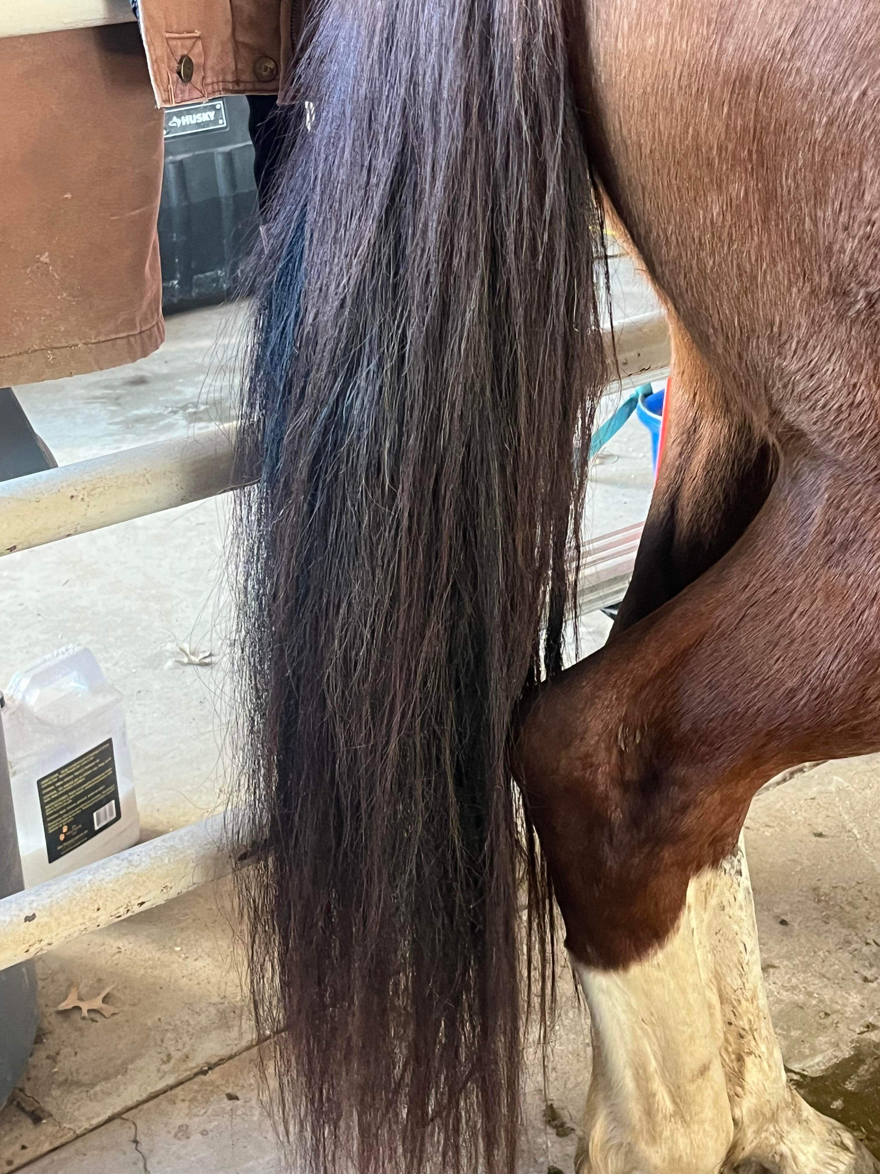 Gentle Ingredients, Glowing Results – Electric Pony
