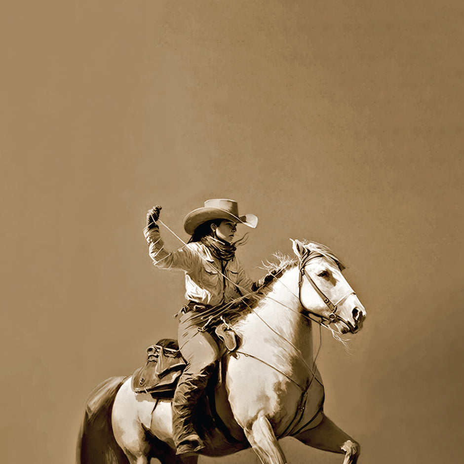 Products – Electric Pony