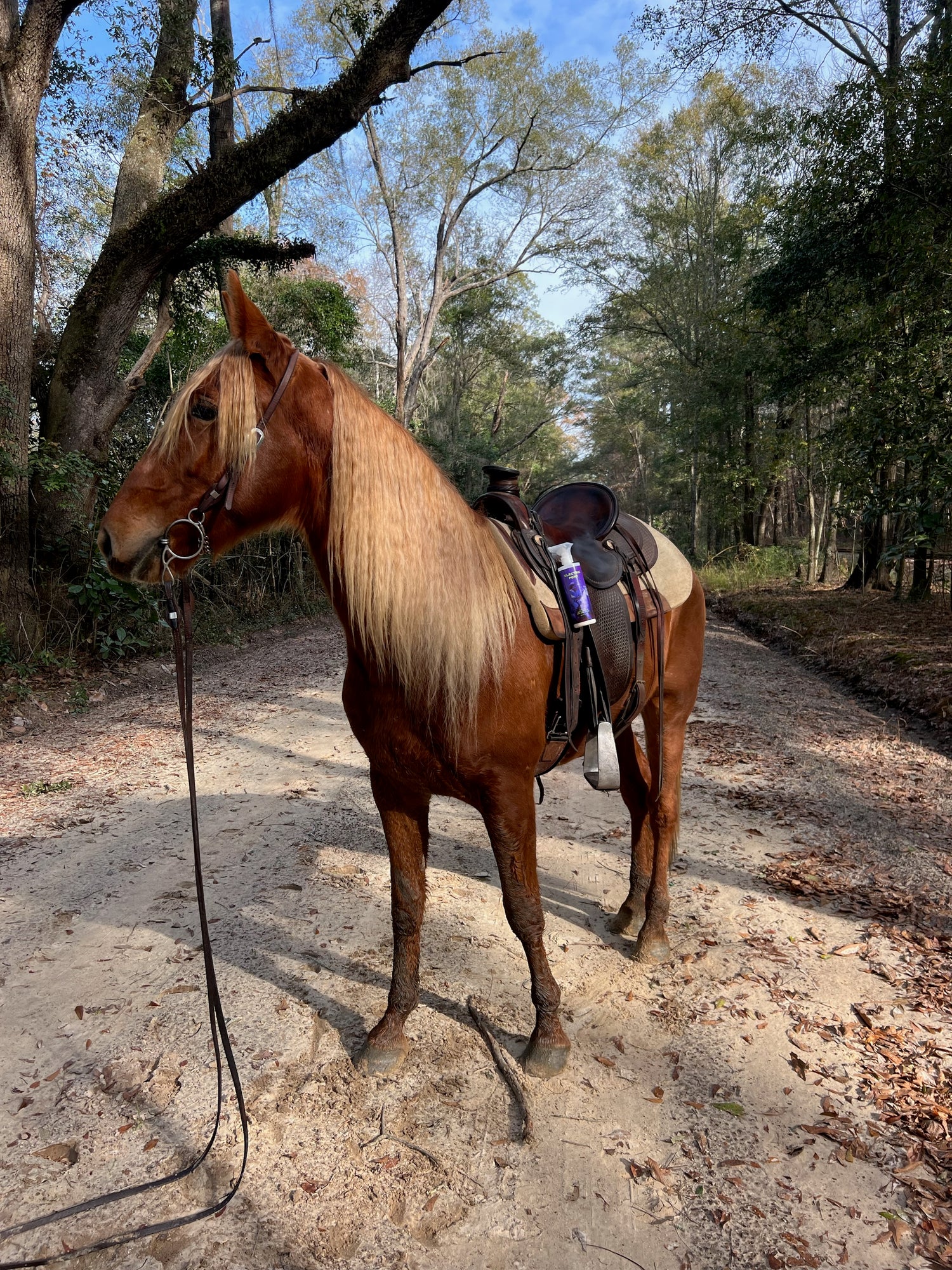 Gentle Ingredients, Glowing Results – Electric Pony