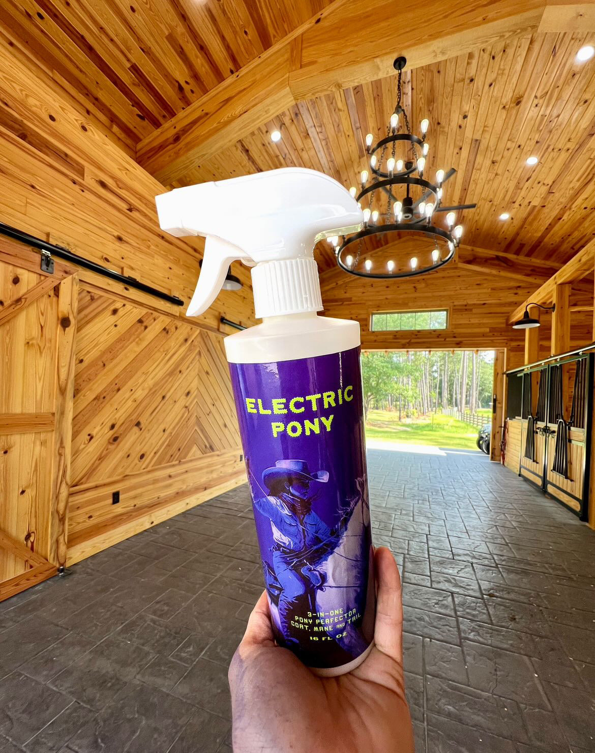 Electric Pony