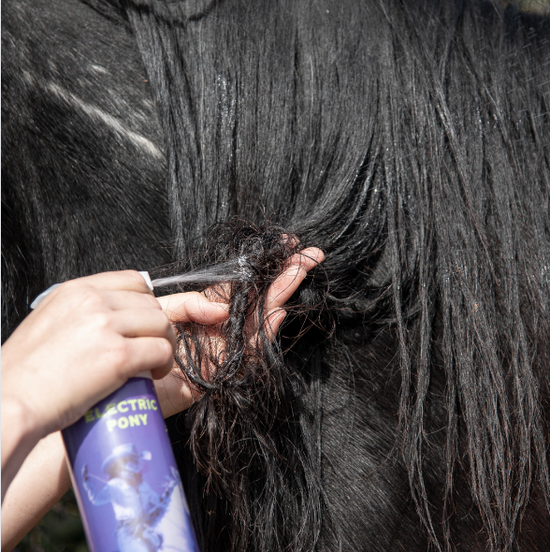 Electric Pony | Hair Health for Your Dog and Horse