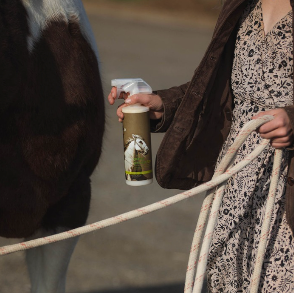 1-HR Fly Pony Protector – Electric Pony