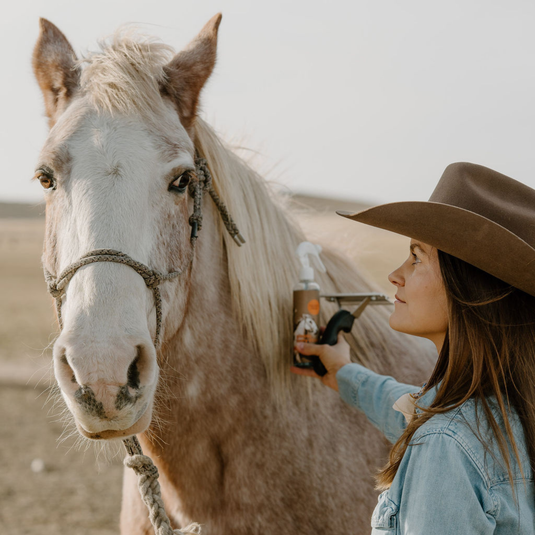 Electric Pony - Shop Therapeutic Grooming for Horses