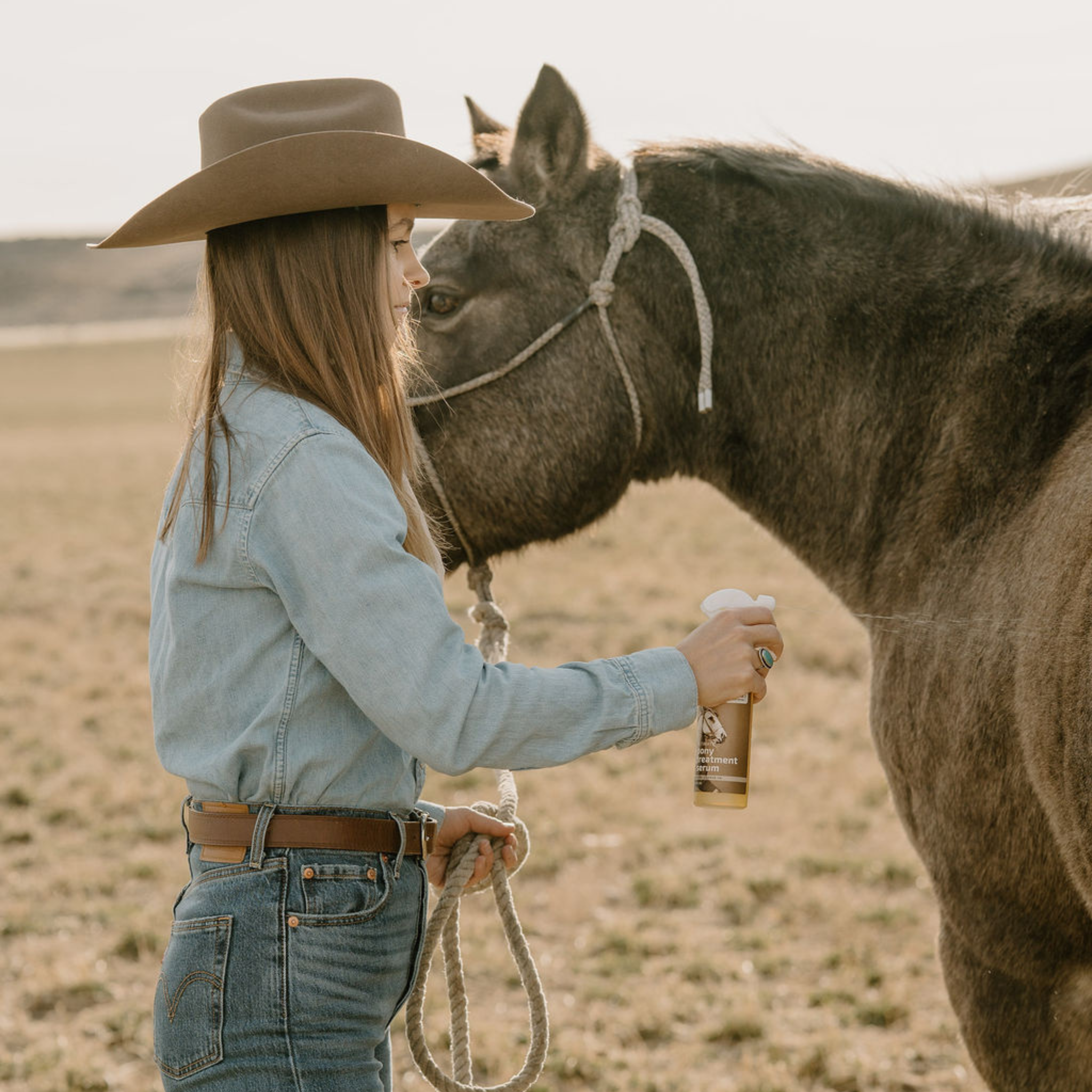 Electric Pony - Shop Therapeutic Grooming for Horses