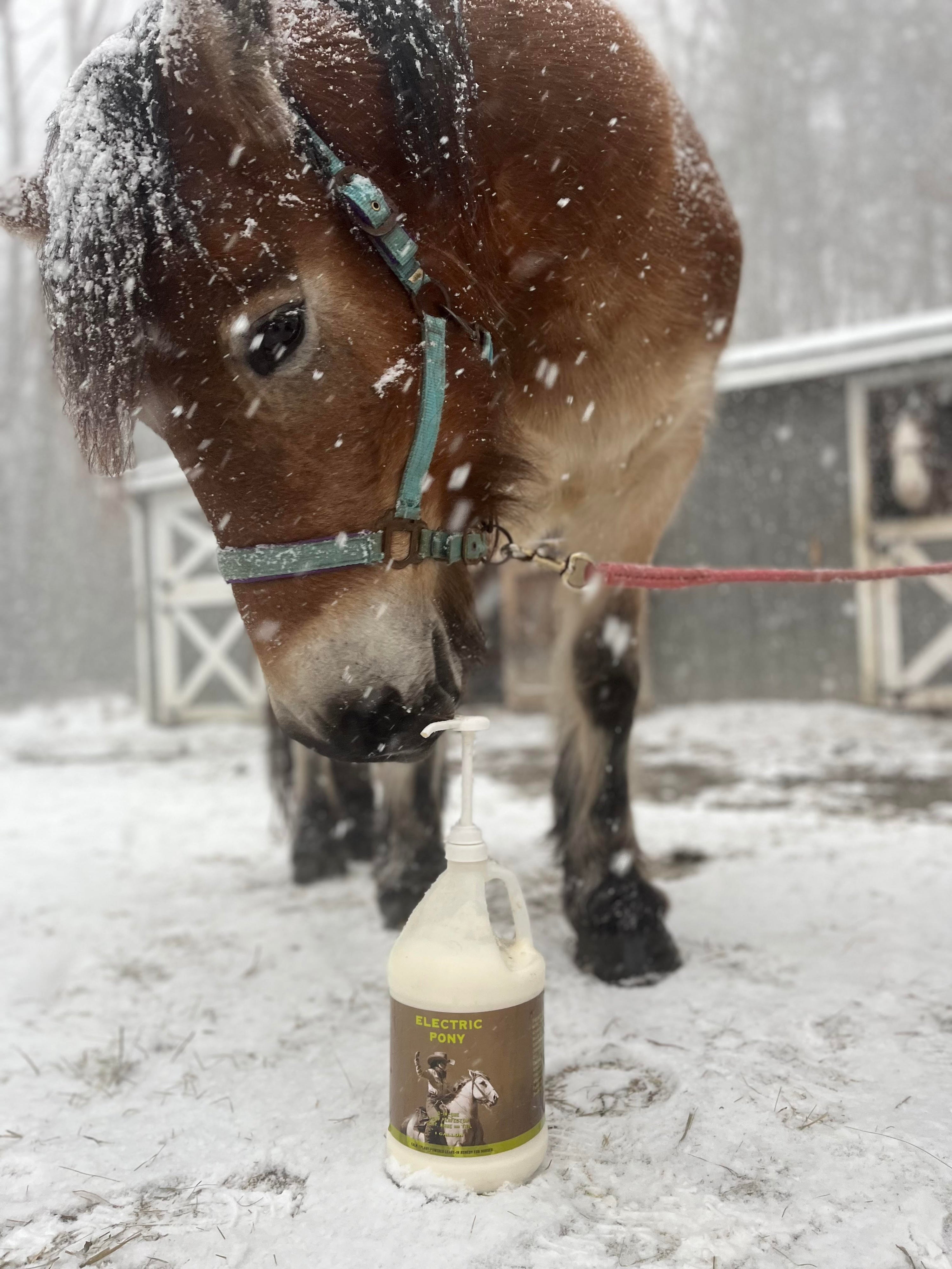 Gentle Ingredients, Glowing Results – Electric Pony